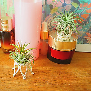 Newwe Pack of 3 Silver Air Plant Holder Cute Crystal Tillandsia Display Container Home Decors Office Desktop Marble Egg Sphere Stand