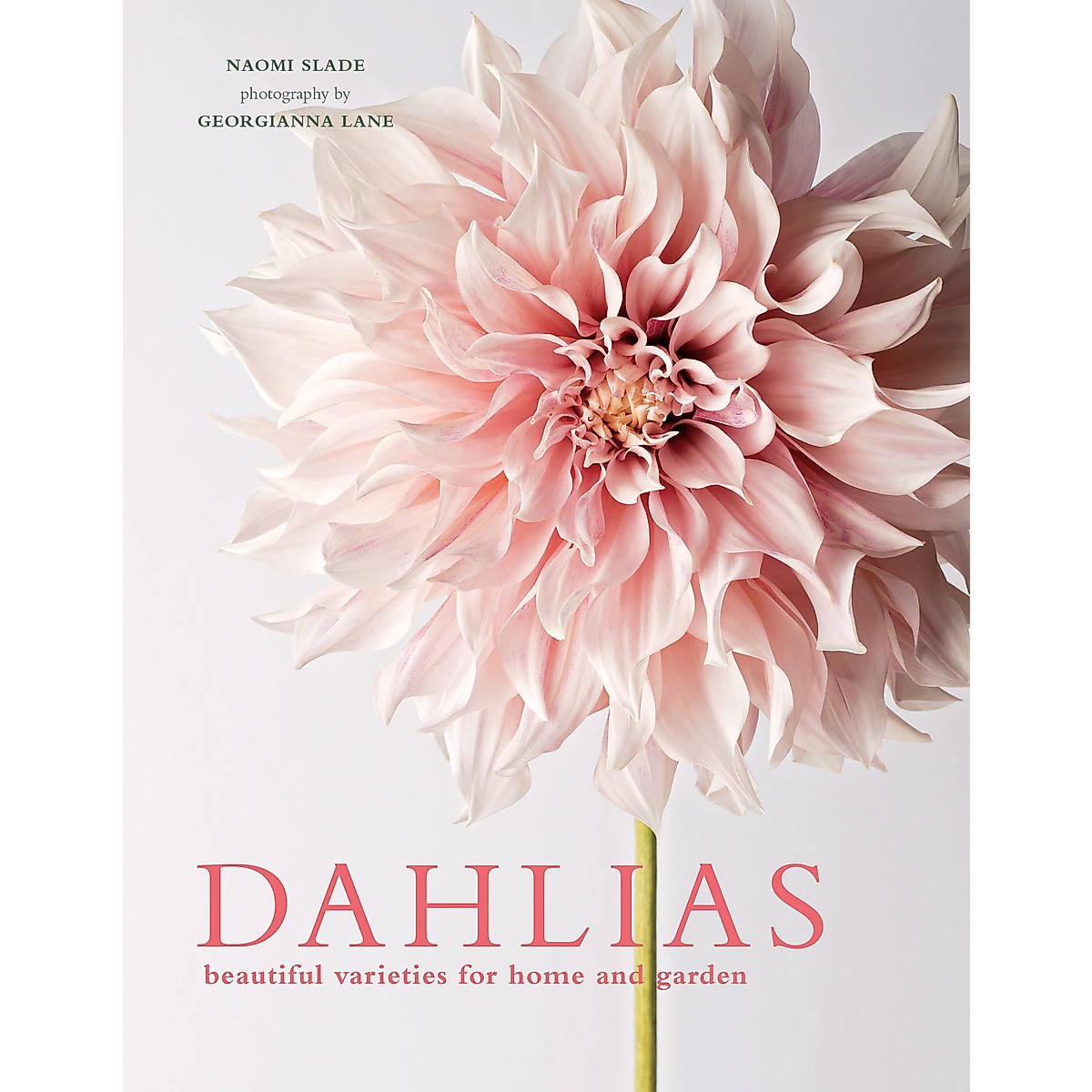 Dahlias: Beautiful Varieties for Home & Garden