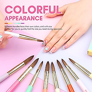 Saviland 9PCS Acrylic Nail Brush Set - Kolinsky Acrylic Nail Brushes for Acrylic Application, Size 4/6/8/10/12/14/16/18/20 Acrylic Powder Brushes for Acrylic Nails Extension & 3D Nail Carving