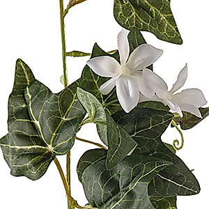 Michaels 6ft. English Ivy Garland by Ashland®