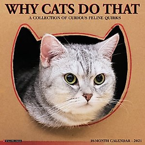 Why Cats Do That 2021 Wall Calendar