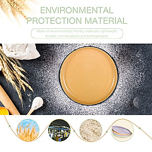 OAMCEG 6 Pack Reusable Plastic Plates 9 Inch Unbreakable Eco-Friendly Lightweight Wheat Straw Plates, Salad Plates, Camping Plates, Dishwasher & Microwave Safe, Green and Healthy Dishes