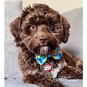 H&K Bow Tie for Pets | Party Time Blue (Extra-Large) | Birthday Velcro Bow Tie Collar Attachment | Fun Bow Ties for Dogs & Cats | Cute, Comfortable, and Durable | Huxley & Kent Bow Tie