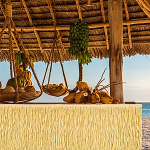 Fovths 2 Packs Luau Grass Table Skirt Fringe Straw Grass Skirt 108 x 30 Inch Hibiscus Hawaiian Table Skirts Rectangle Tropical Luau Party Decorations for Hawaiian Luau Decorations