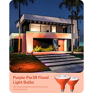 EDISHINE Christmas PAR38 Orange LED Flood Light Bulbs Outdoor, Dimmable Orange LED Light Bulb, 18W(120W Equivalent), Orange Flood Lights Bulb for Christmas Decorations, E26 Base, ETL Listed, 4 Pack