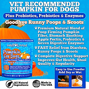 Well Loved Pumpkin for Dogs - Pumpkin Puree, Canned Pumpkin (Alternative), Fiber for Dogs, Probiotic Powder, Pumpkin Powder, Dog Diarrhea, Digestive Support, Perfect for Firm Poops and No Scoots, 6 oz