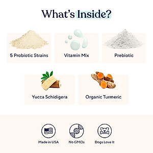 Pawfy Probiotics for Dogs | Dog Diarrhea Medication | Small and Large Dog Probiotics for Digestive Health | Improves Gut Health | Anti Yeast Supplements | Allergy and Itch Relief - 30 Tasty Chews