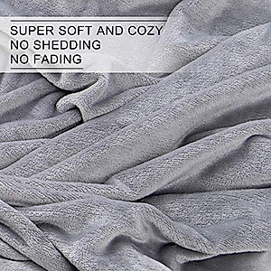 EMME Velvet Fleece Twin Blanket Quality High-Density Bed Blankets for Couch Silky Soft Twin Blankets Premium Cozy Fleece Blankets and Throws Lightweight and Warm for All Season (Grey, 60" x 80")