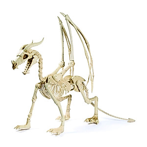Fun Express 36" Dragon Skeleton Halloween Decoration