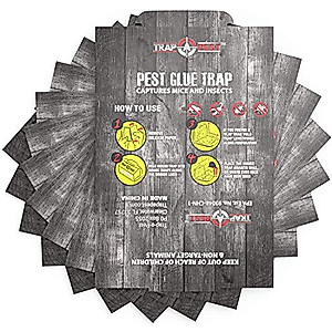 Sticky Mouse Traps Indoor for Home Ant Traps Indoor - Sticky Trap Indoor Home Bug Catcher Mice Traps for House Indoor Glue Traps Roach Trap Spider Traps for Inside Your Home (12 Traps)