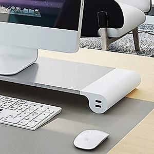 TBGFPO Computer Monitor Riser Desk Stand Monitor Stand Riser, Computer Laptop Riser Shelf with Organizer Drawer