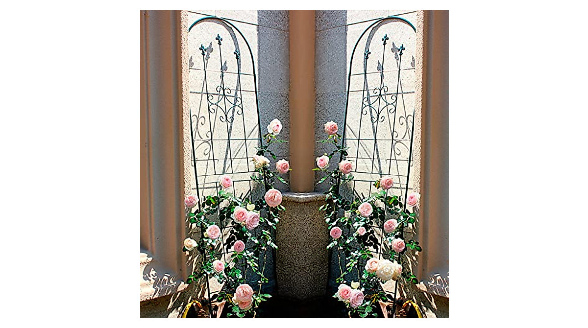 eLeGreen Metal Garden Trellis 2 Pack for Climbing Plants | Durable ...