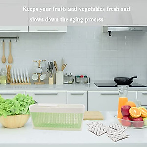 xcivi 6 Pack Produce Preserver Filter Refills compatible with OXO Good Grips GreenSaver Produce Keeper, Extends The Life of Your Fruits and Veggies and Keep Them Fresh Longer