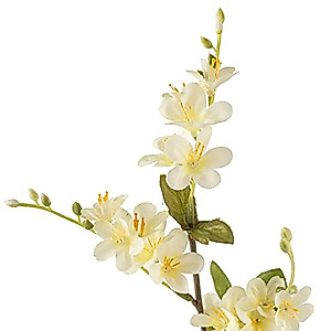 Ashland Michaels Bulk 12 Pack: Cream Vinca Spray