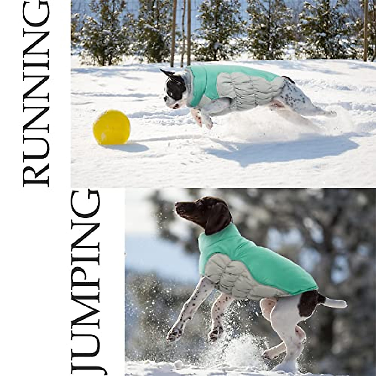 MKubwaa Polar Fleece Dog Jacket, Reflective Dog Cold Weather Coat Vest for Small Medium Dogs, Winter Waterproof Puppy Clothes with Fur Collars, Comfortable Thicken Pet Winter Apparel(Green-S)