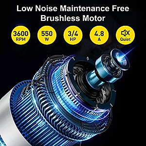 Woodskil Bench Buffer Polisher 4.8A 8-Inch Polishing Machine 3600rpm with 2 pcs-Fiber Wheels for Buffing Metal, Jewelry, Wood, Jade, and Plastic Parts