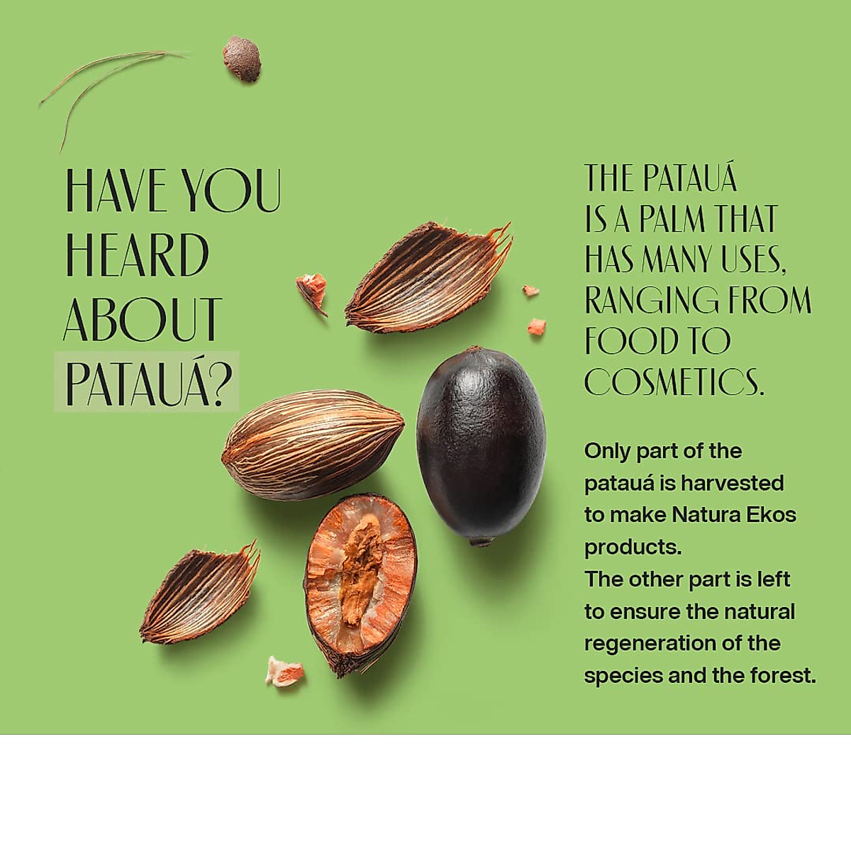 natura Patauá Strengthening Shampoo Ekos