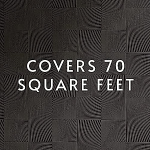 ROMAN Products Heavy Duty Wallpaper Adhesive, Commercial Grade for Heavy Wall Hangings, Clear, PRO-838 (32 Ounce - 70 sq. ft.), 11314