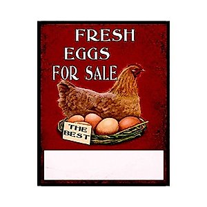 Destiny'S Stylish Vintage Fresh Eggs for Sale Vintage Metal TIN Sign Wall Plaque 8" X 12" inch