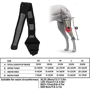 Dog Elbow Brace Protector Pads, Provides Support Breathable Dog Elbow Protector Pads for Prevents Injuries Elbow Calluses (L)