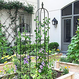 Garden Obelisk Trellis for Climbing Plants Outdoor 6 Ft Rose Bush Round Trellis for Pots Rustproof Metal Plant Flower Trellises for Clematis Vine Jasmine Support Outdoor Indoor