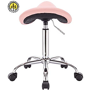 DevLon NorthWest Professional Saddle Stool Series Hydraulic Swivel Comfortable Ergonomic with Heavy Duty Metal Base for Clinic Dentist Spa Massage Salons Studio (LIGHT PINK)