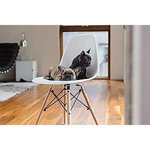 UrbanMod Mid Century Style Easy Assemble’ Modern DSW ErgoFlex ABS Plastic and ‘One Wipe Wonder’ Comfortable White Dining Chairs Meets 5-Star, Set of 2 (Natural)