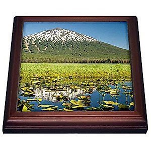 3dRose Lilly Pads, Marsh at Dutchman Flats, Near Sparks Lake, Oregon, USA - Trivets (trv_332029_1)