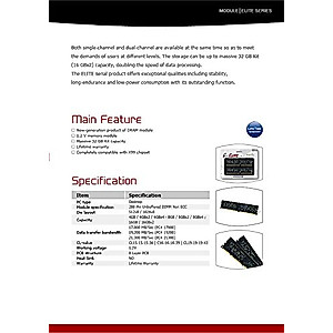 Team Group TED48G2400C1601 D4 2400 8 GB C16 Internal Memory