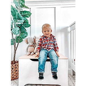 Wildkin Kids Toy Box for Boys and Girls, Features Safety Hinge and Solid Wood Top, Helps Keep Toys, Games, Books, and Art Supplies Organized in Your Child's Bedroom or Playroom (Gray) , Gray Fog