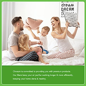 Hichoryer F1 Filter Allergen Reduction+Odor Removal, Replacement Filter Compatible with Filtrete C01 T02 Room Air Purifier FAP-C01-F1 and FAP-T02-F1,4 Pack