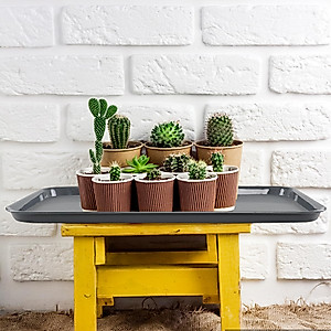 Nicesh 6-Pack Large Plastic Serving Trays, 25.28" x 17.06" Plastic Tray/Animal Feeding Tray or Planter Tray for Storage Shoes, Boots