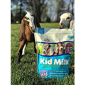 Manna Pro Milk Replacer with Probiotics for Goat Kids | High in Protein to Support Growth | Supports Gut Health and Digestion | 4lbs