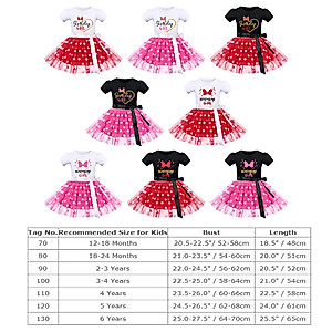 IMEKIS Mouse 2nd 3rd Birthday Outfit Baby Girls Dress Polka Dots Mini Tutu Headband Two Three Years Old Cake Smash Photo Shoot Toddler Mouse Themed Birthday Party Supplies Hot Pink Bowknot 2-3T
