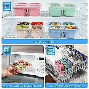 mzvcopm 4 Pack Snack Containers,Divided Bento Lunch Box with Transparent Lids, Reusable Meal Prep Lunch Containers for Kids and Adults,No BPA, 4 Compartment Food Storage Containers