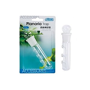 Aquarium Supplies ISTA Clear Glass Planaria Trap for Cherry Shrimp Crystal red Shrimp Dwarf Shrimp