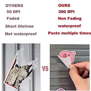 National Flag Stickers for Laptop Computer (50Pcs),Gift for Teens Adults,Waterproof World Flag Country Map Stickers for Water Bottle,Hydroflask,Country Flag Vinyl Stickers for Skateboard,Car,Phone