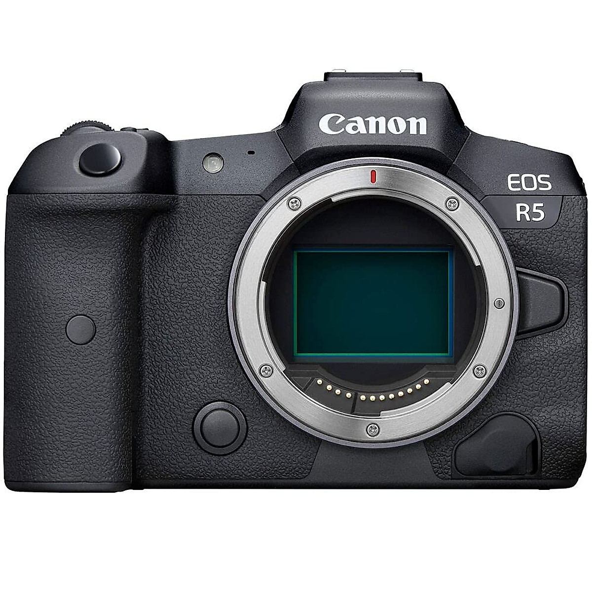 Canon EOS R5 Mirrorless Digital Camera (Body Only) (4147C002) + Canon RF 24-70mm Lens + 2 x 64GB Memory Card + Case + Corel Software + 3x LPE6 Battery + External Charger + Card Reader + More (Renewed)