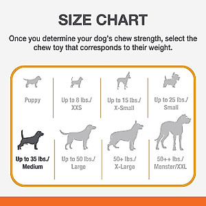 Nylabone Flexi Chew Chill & Chew Toy for Dogs with Treat Pockets Medley Flavor, Medium/Wolf - Up to 35 lbs. (1 Count)