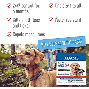 Adams Plus Shampoo 12 oz. + Flea & Tick Collar