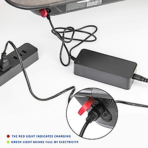 EVAPLUS 42V 2A (84W) Power Adapter for Lime Scooter Chargers for Ninebot G30LP ES2 ES4 ES1L F20 F30 F40 E22 E25 Xiaomi M365 Pro/Pro2 Lime-S and Hiboy S2R Electric Scooter with 36V Li-ion Battery