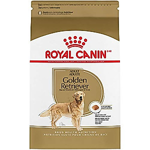 Royal Canin Golden Retriever Adult Dry Dog Food, 30 lb bag