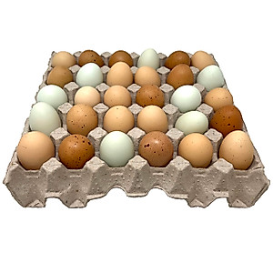 Paper Pulp Egg Trays - 20 Pack