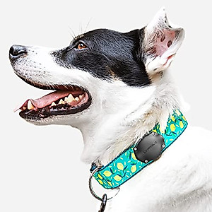 TagVault Pet (4 Pack) - The Original AirTag Dog Collar Waterproof Mount, Ultra-Durable, Fits All Width Collars | Elevation Lab