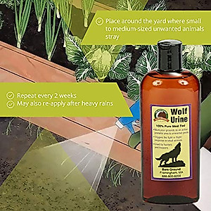 Just Scentsational WU-8 Wolf Urine for Gardens, Hunters, and Trappers, 8 oz