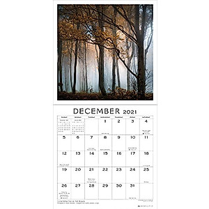 Soul of the Forest 2021 Calendar