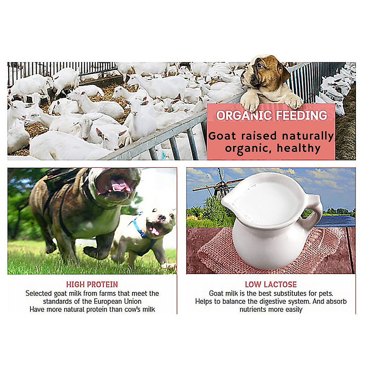 GOATMILK FUMULA 100% Sterilized Goat Milk Replacer 300 Tablets for Dog Puppy Cats Pet Milk Replacer Supplement High Protein Calcium Nourish Bones Teeth Strengthens Immunity Milk Replacement 500 g.