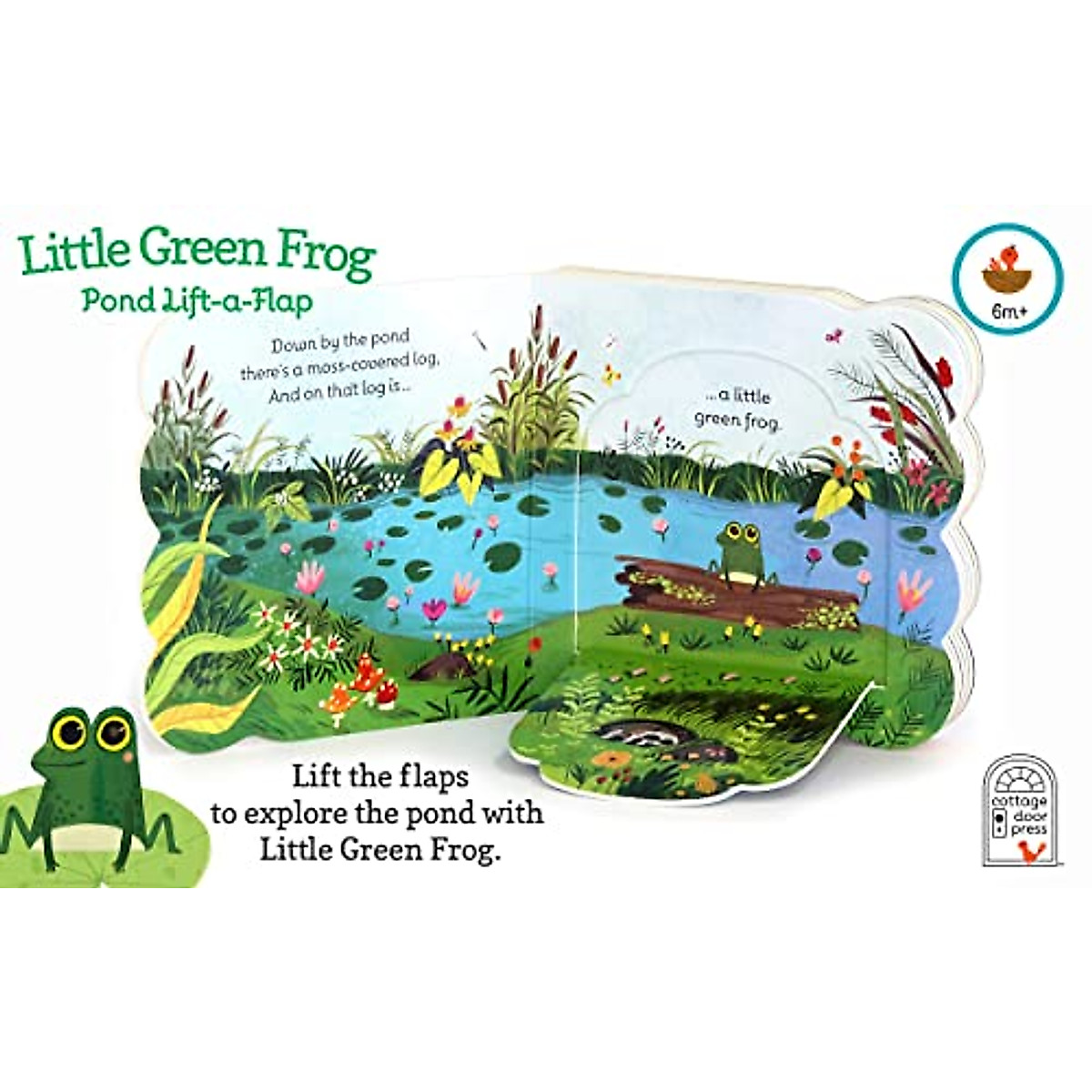 Little Green Frog Chunky Lift-a-Flap Board Book (Babies Love)