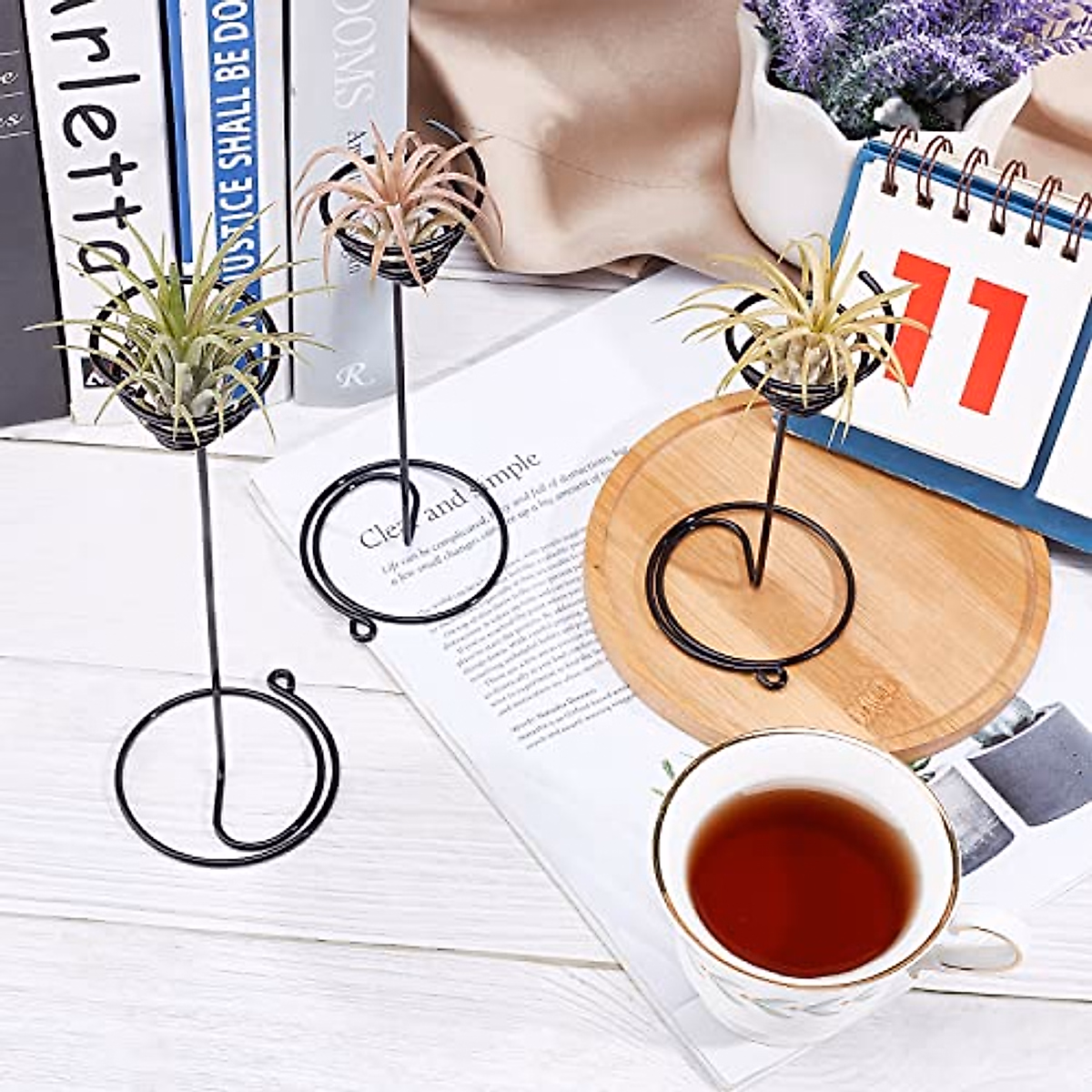 AHANDMAKER 6 Packs Airplant Planter Holder, 3 Sizes Air Plant Container Tillandsia Holder for Displaying Small Air Plant, Home Office Desktop Decoration