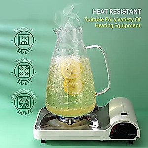 Glass Pitcher with Lid 1 Gallon, 113OZ Glass Water Pitcher with Precise Scale Line, WELLCHE 18/8 Stainless Steel Tea Pitcher 1 Gallon for Fridge, Easy to Clean Heat & Cold Resistant Borosilicate Glass